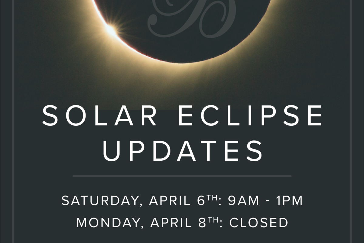 Total Solar Eclipse April 8 | EMMY’S BRIDAL